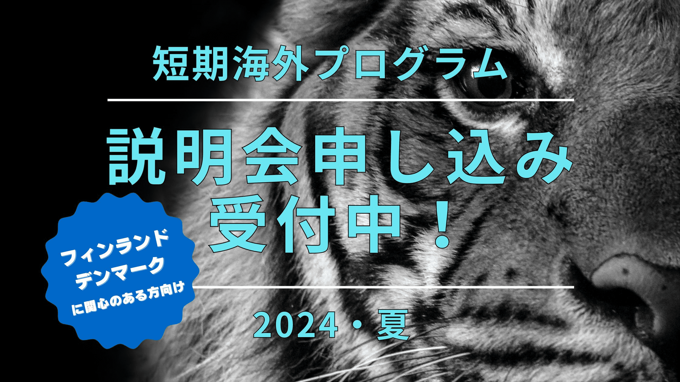 【6/13(木)開催】説明会：北欧テーマの海外短期プログラム | Qulii(キュリー)